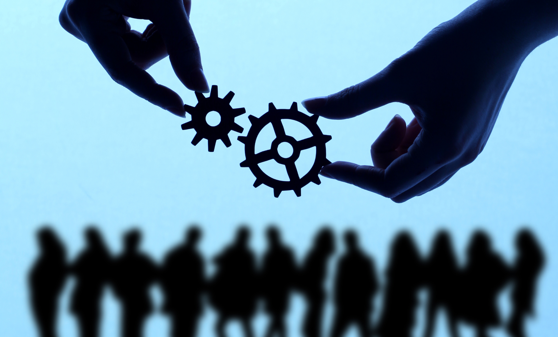 European College of Business and Management